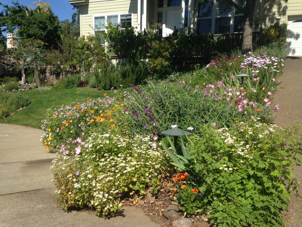 Past Projects – Mindful Landscapes