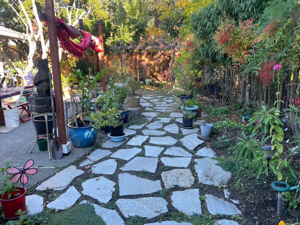 Past Projects – Mindful Landscapes
